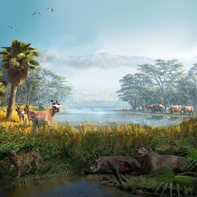 Species Come and Go – Their Ecosystems Persist Over Millions of Years