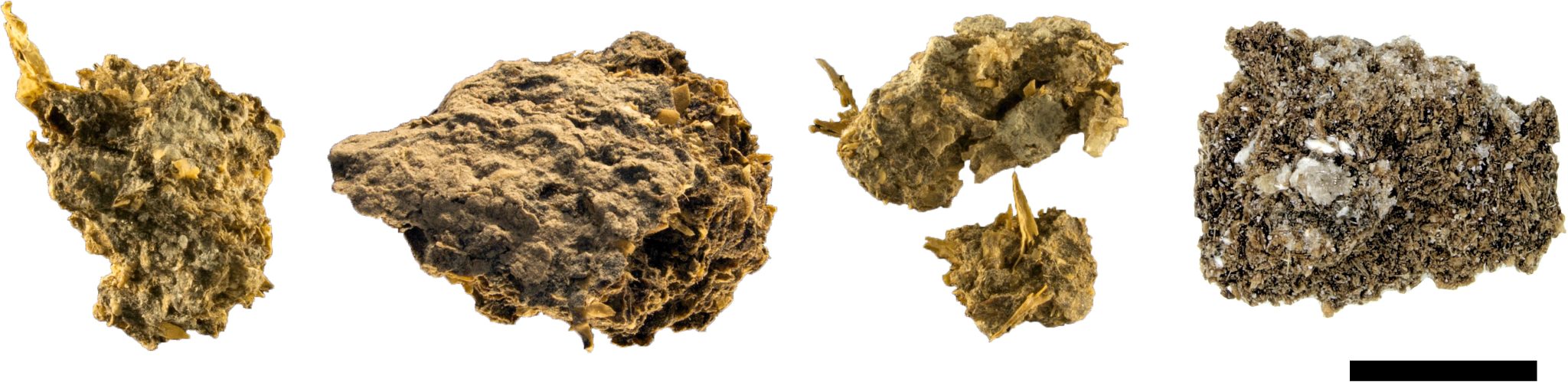 Ancient Poop Shows People in Austria Drank Beer and Ate Blue Cheese ...