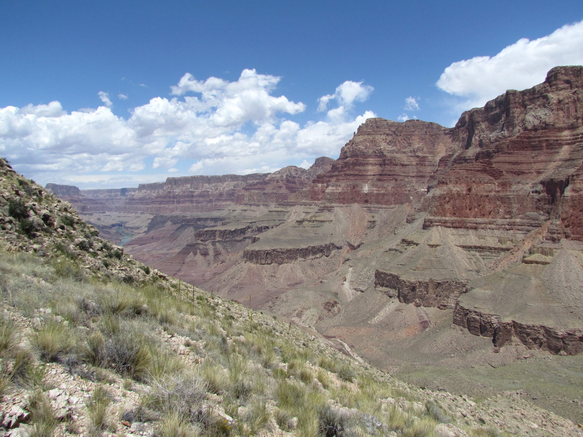 Evolving in Shadows: The Oxygen-Poor Origins of Complex Life