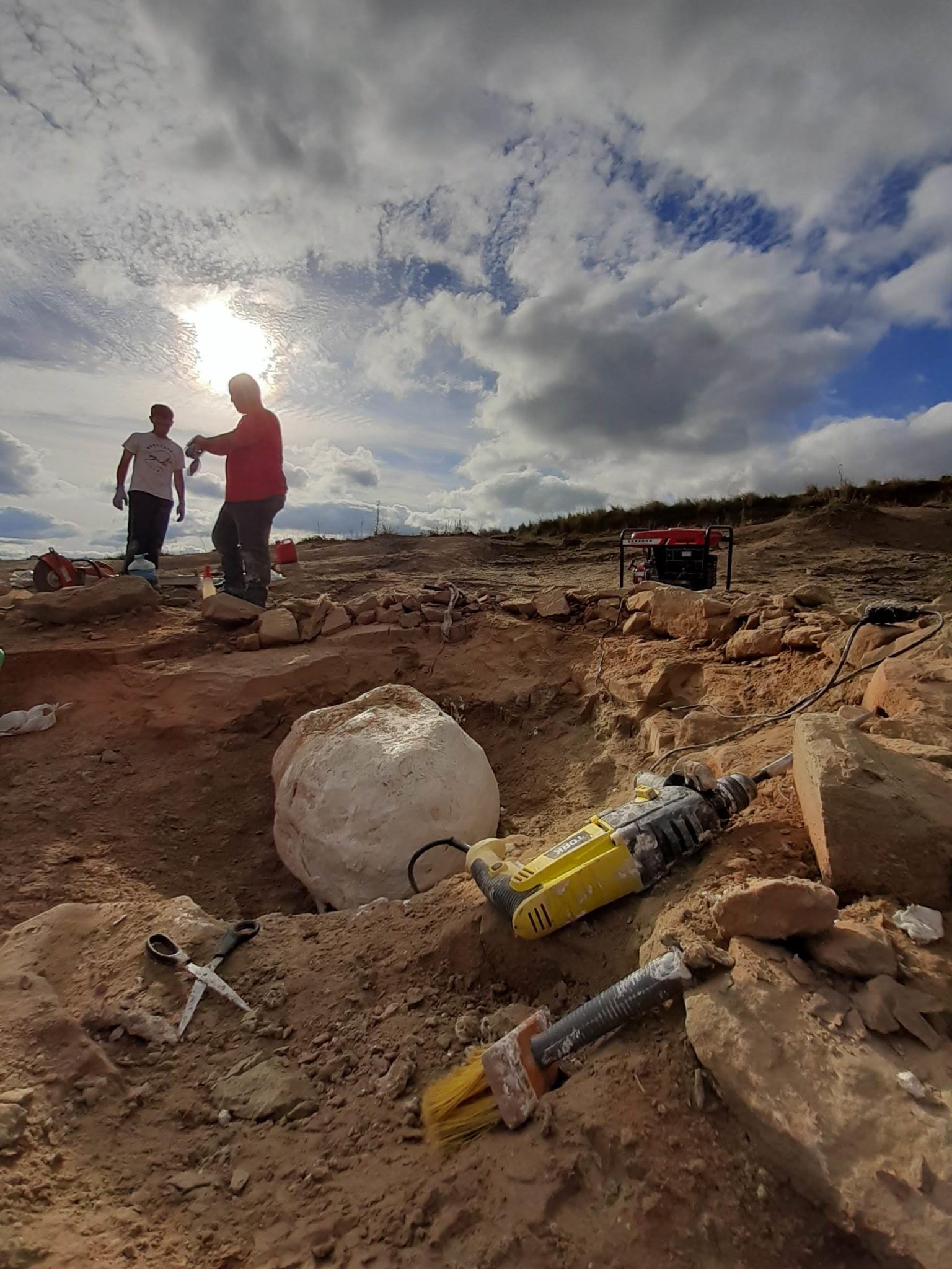 Astounding Fossil Discovery: The 265-Million-Year-Old Apex Predator ...