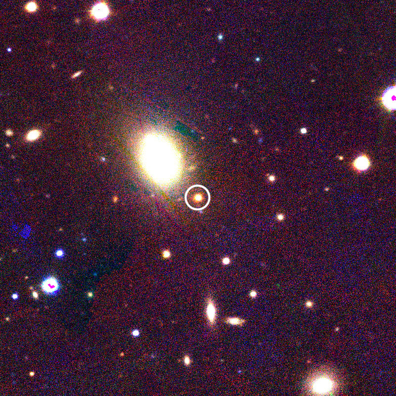 Researchers Discovered a Very Rare Type Ibn Supernova