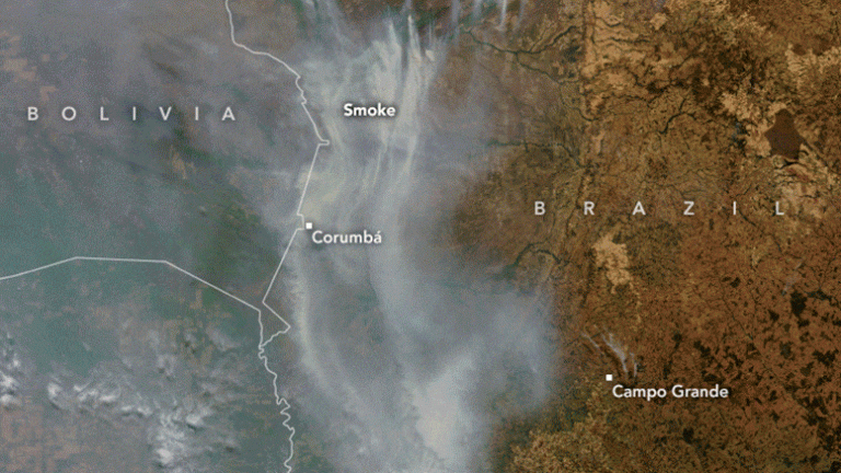 Wildfires Char South Korea – Blazes Raced Through Coastal Counties