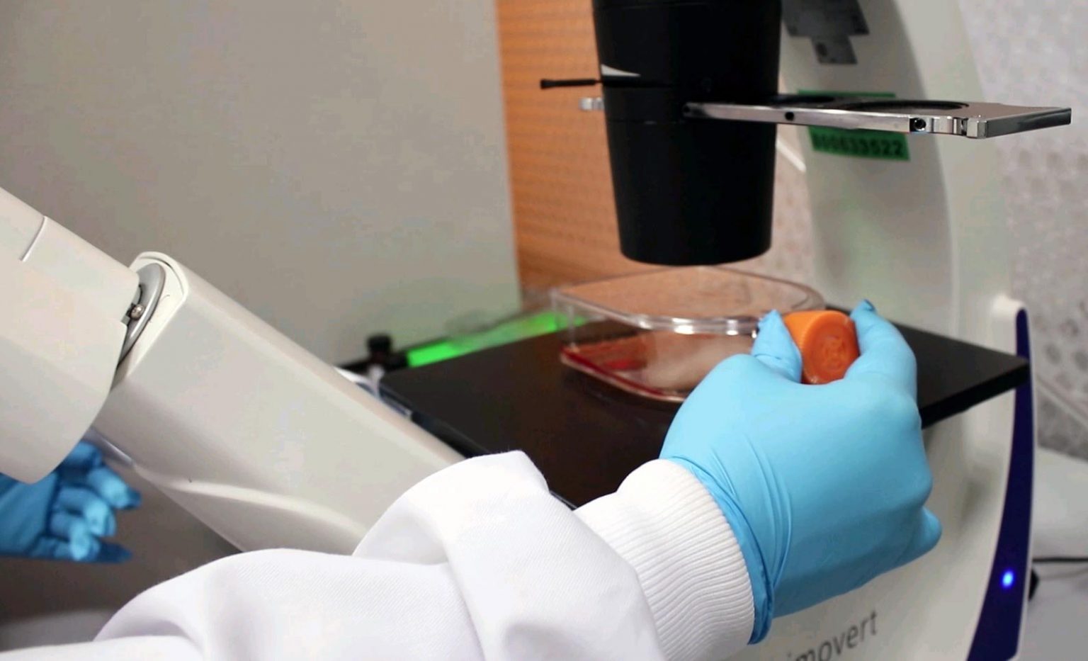 New Technique to Efficiently Cryopreserve Human Cells for Long Periods ...
