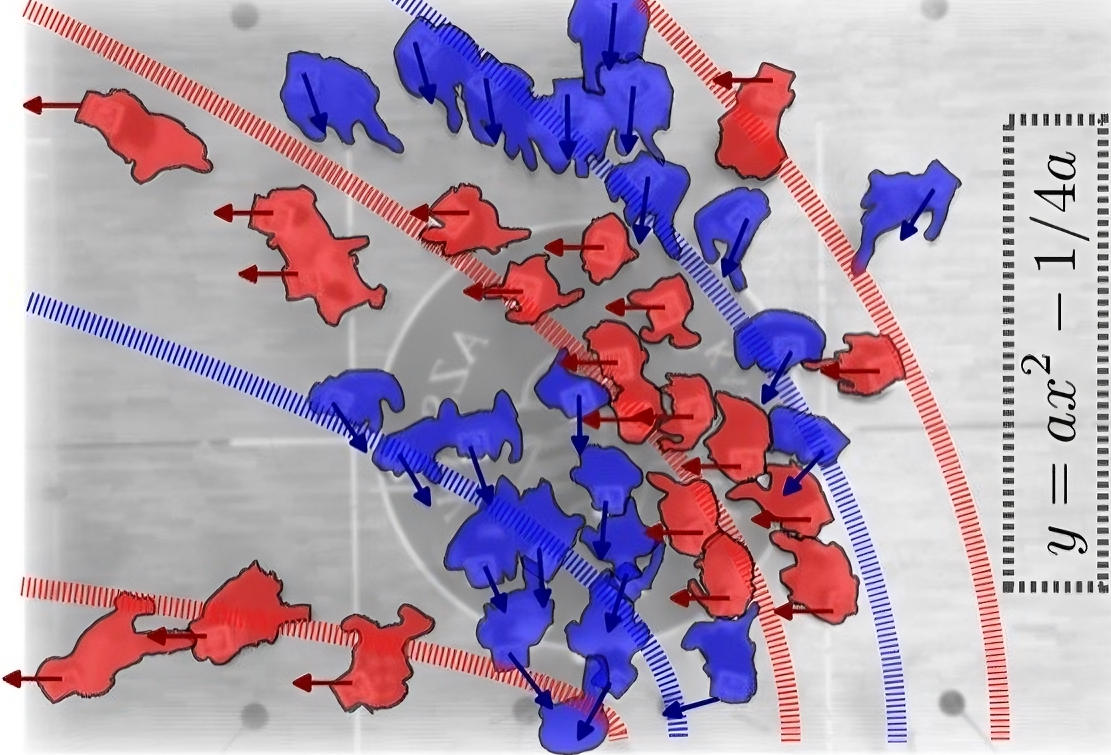 The Hidden Mathematics of Crowds: How Pedestrians Inadvertently Self ...