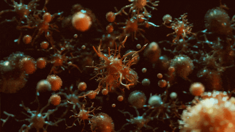 “Pokemonas” – New Bacteria Related to Lung Parasites Discovered, Named ...