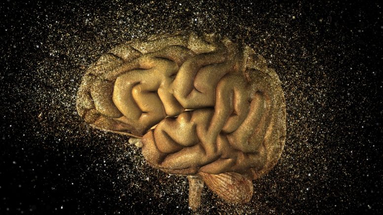 Biomedical News - SciTechDaily