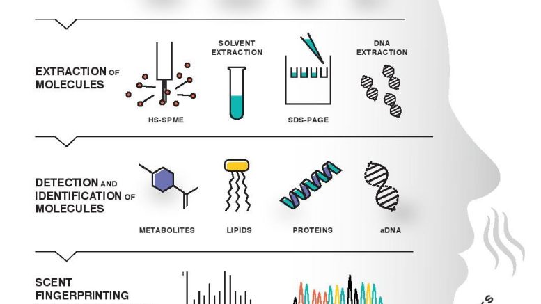 Science News - SciTechDaily