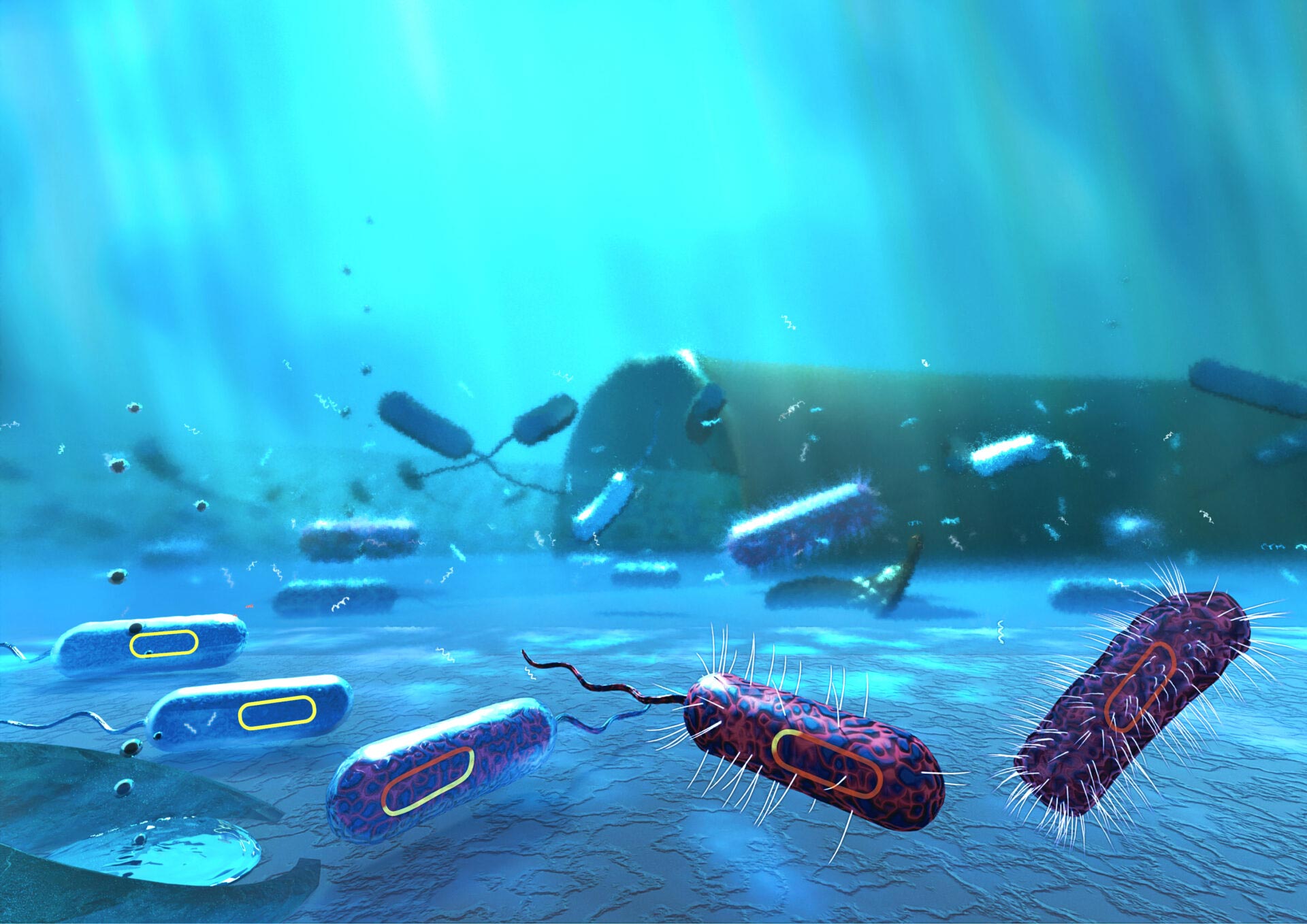 Gene Transfer Tug-of-War: Wastewater’s Role in “Superbug” Pathogen ...