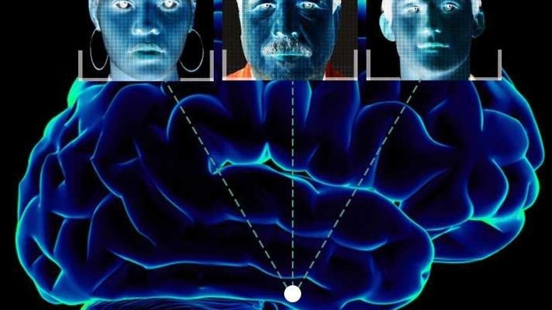 Neuroscientists Can Predict IQ's By Analyzing Neuronal Connections