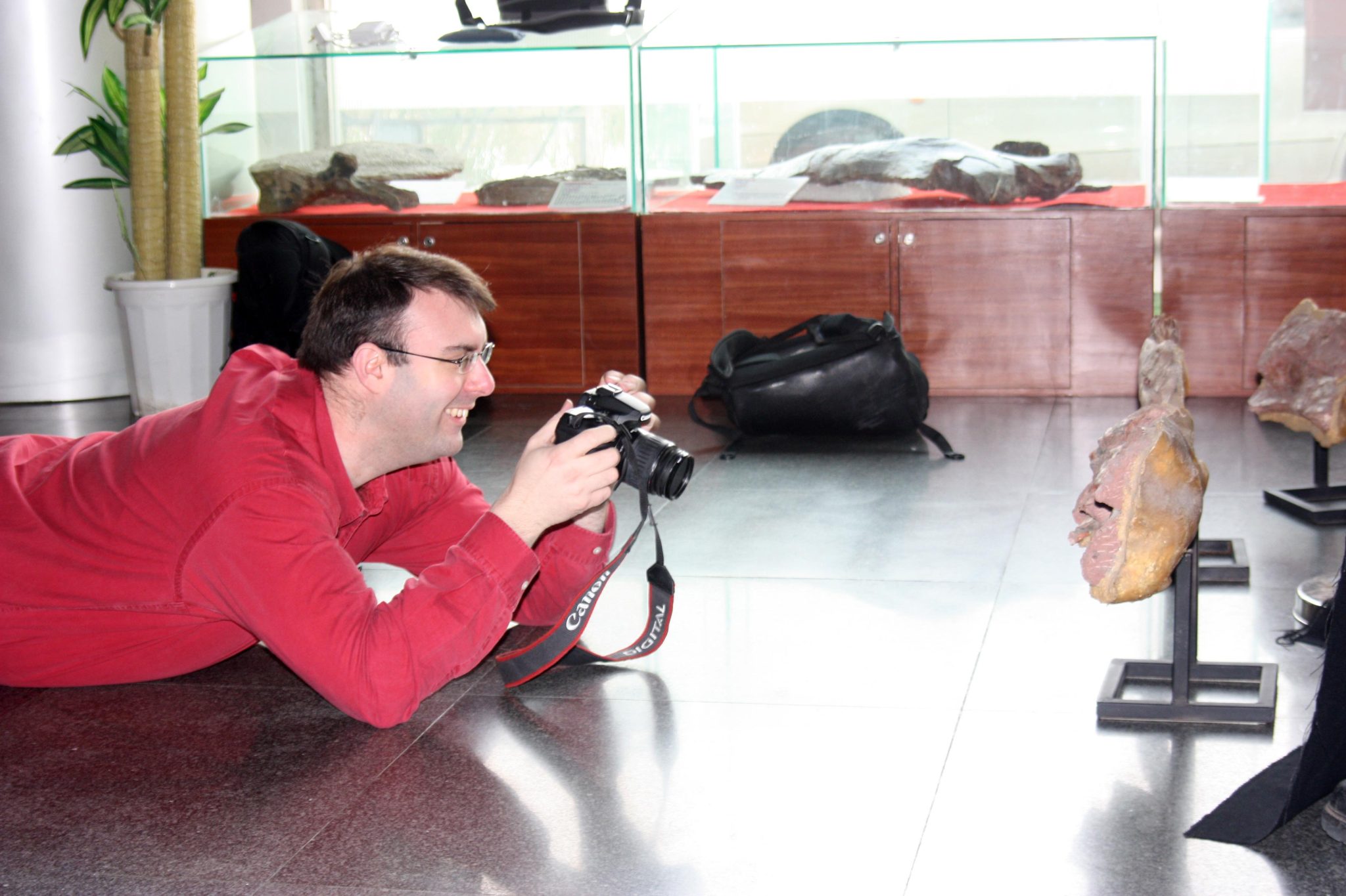 Longest Neck of Any Animal Ever: New Fossil Analysis Reveals Dinosaur ...