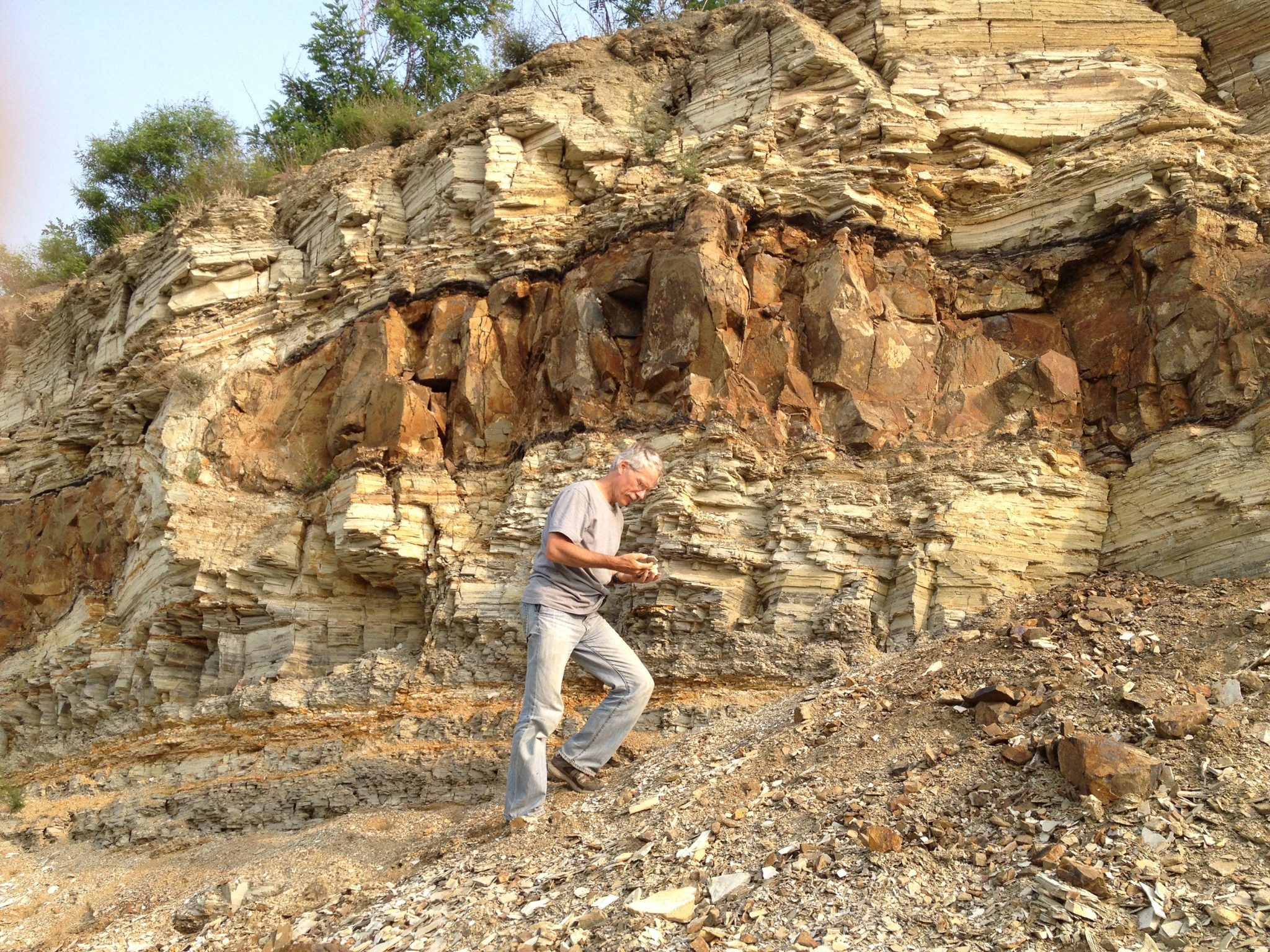 Volcanic Fossilization: Did a ‘Pompeii Event’ Really Preserve the World ...