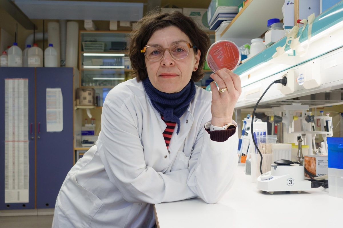 Growing Public Health Threat: New “Northern Lights” Bacteria Resists ...