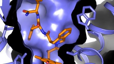 A New, Non-Addictive Painkiller With Fewer Side Effects