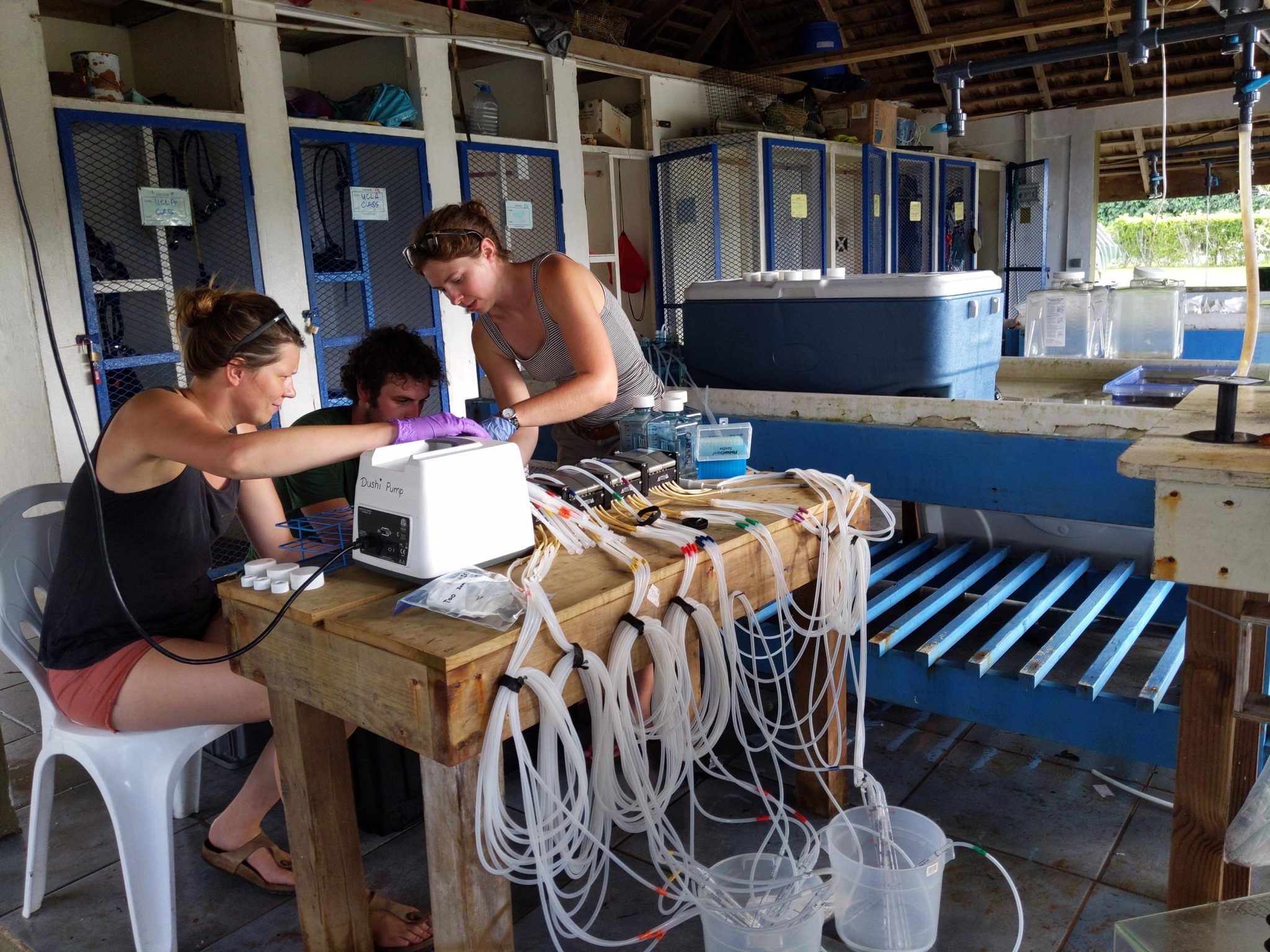 Coral Bleaching: Catalyst for Microbial Mayhem Below the Surface