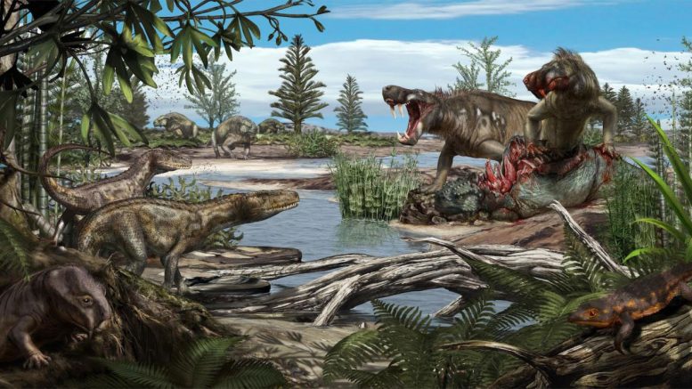 Scientists Reconstruct Ancient Permian Ecosystem from Ash-Covered Plants