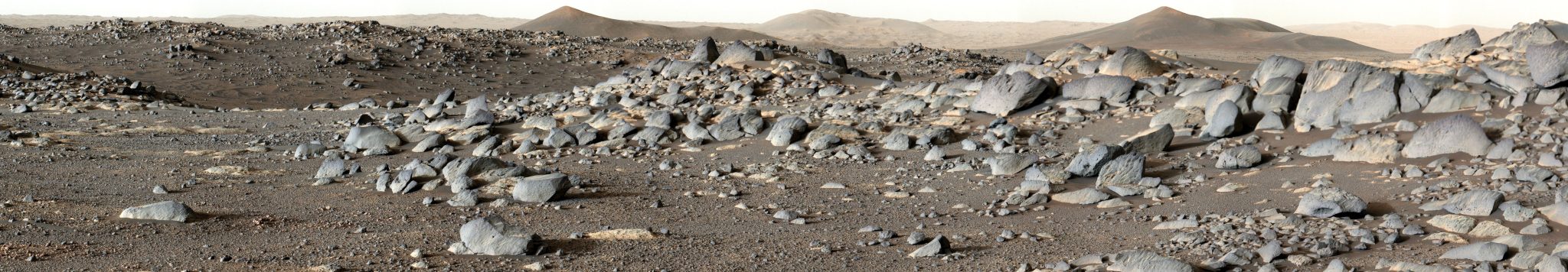 Martian Surprise: NASA’s Perseverance Makes New Discoveries in Mars ...
