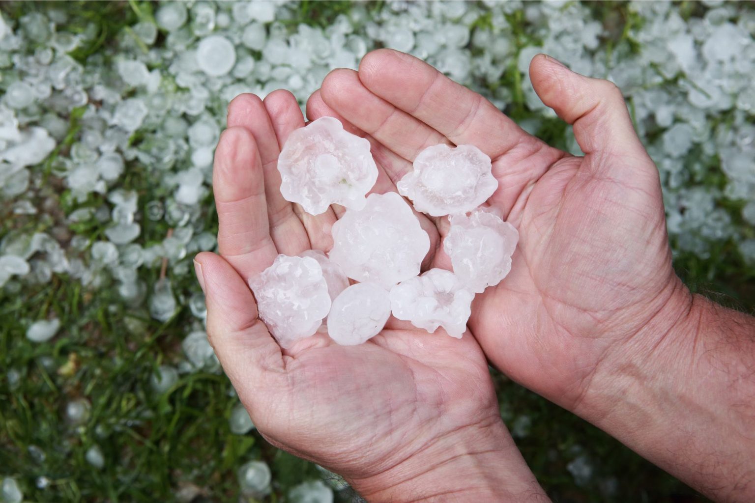 CT Scans Reveal Hidden Secrets of Giant Hailstones