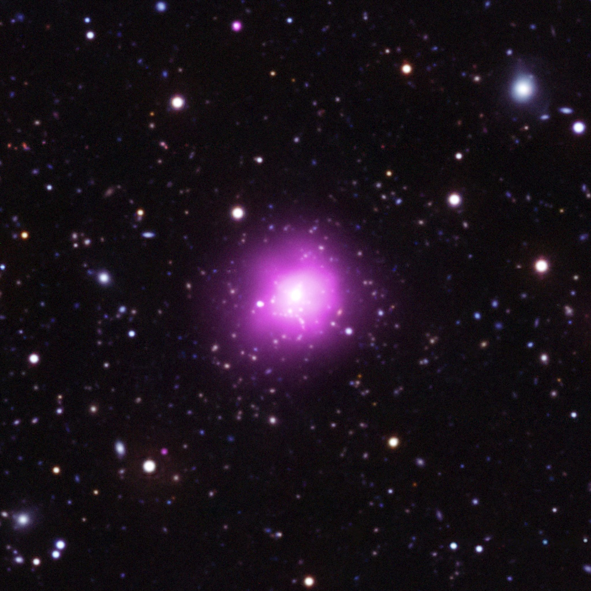 Rapid Star Formation Observed in the Phoenix Cluster
