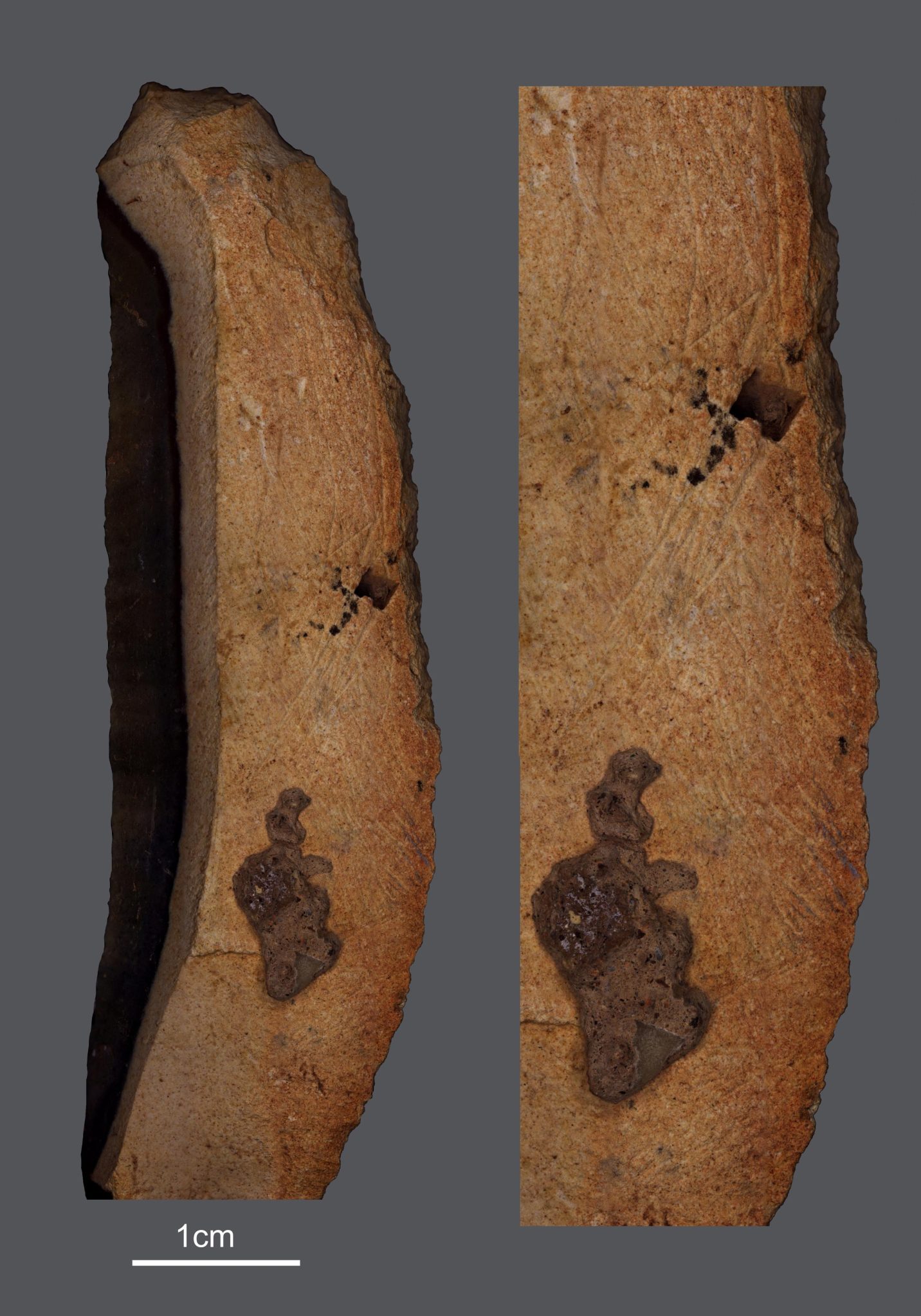 Prehistoric Engravings Rewrite Human History: New Study Challenges Long ...