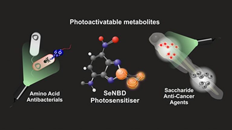 Photoactivatable Metabolic Warheads: Light-Sensitive Drug Acts As ...
