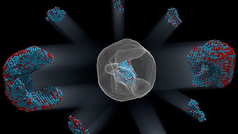 Physicists Determine the Three-Dimensional Coordinates of Individual Atoms