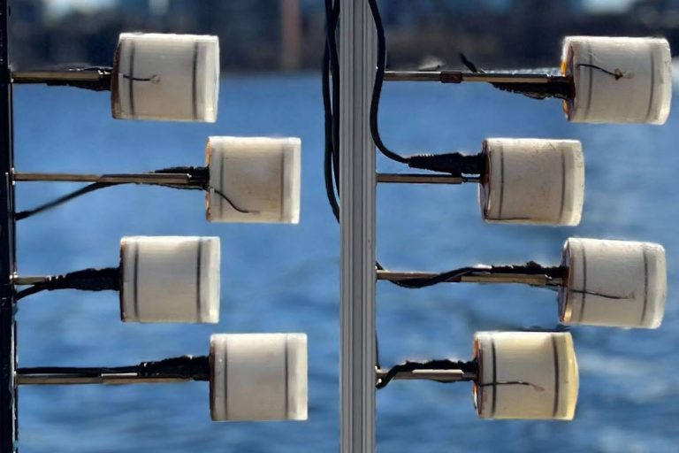 Submerged Signals: MIT Unveils Pioneering Development in Underwater ...