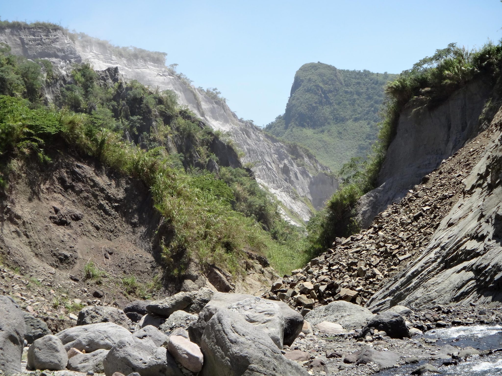 “Extinct” Pinatubo Volcano Mouse Rediscovered on Volcano That Erupted ...