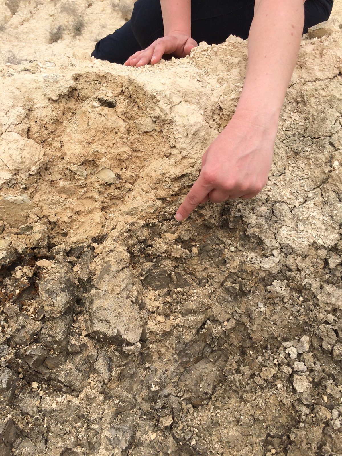 When the Mediterranean Turned to Salt: Scientists Shed New Light on ...