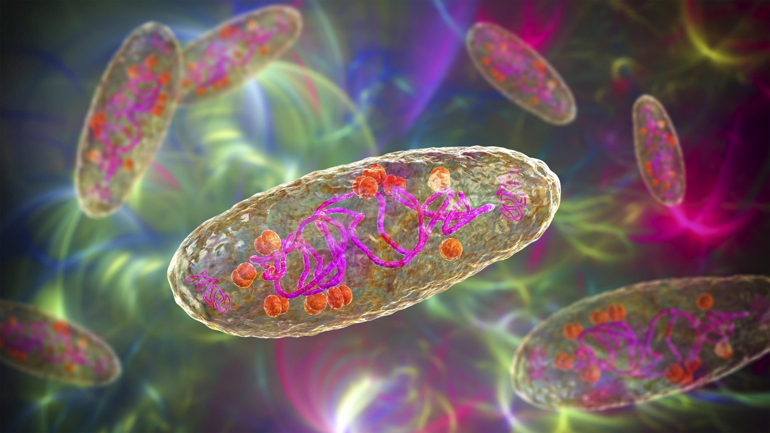 DNA Evidence From Mass Grave Suggests Bubonic Plague Had Long-Term Effect on Human Immunity Genes