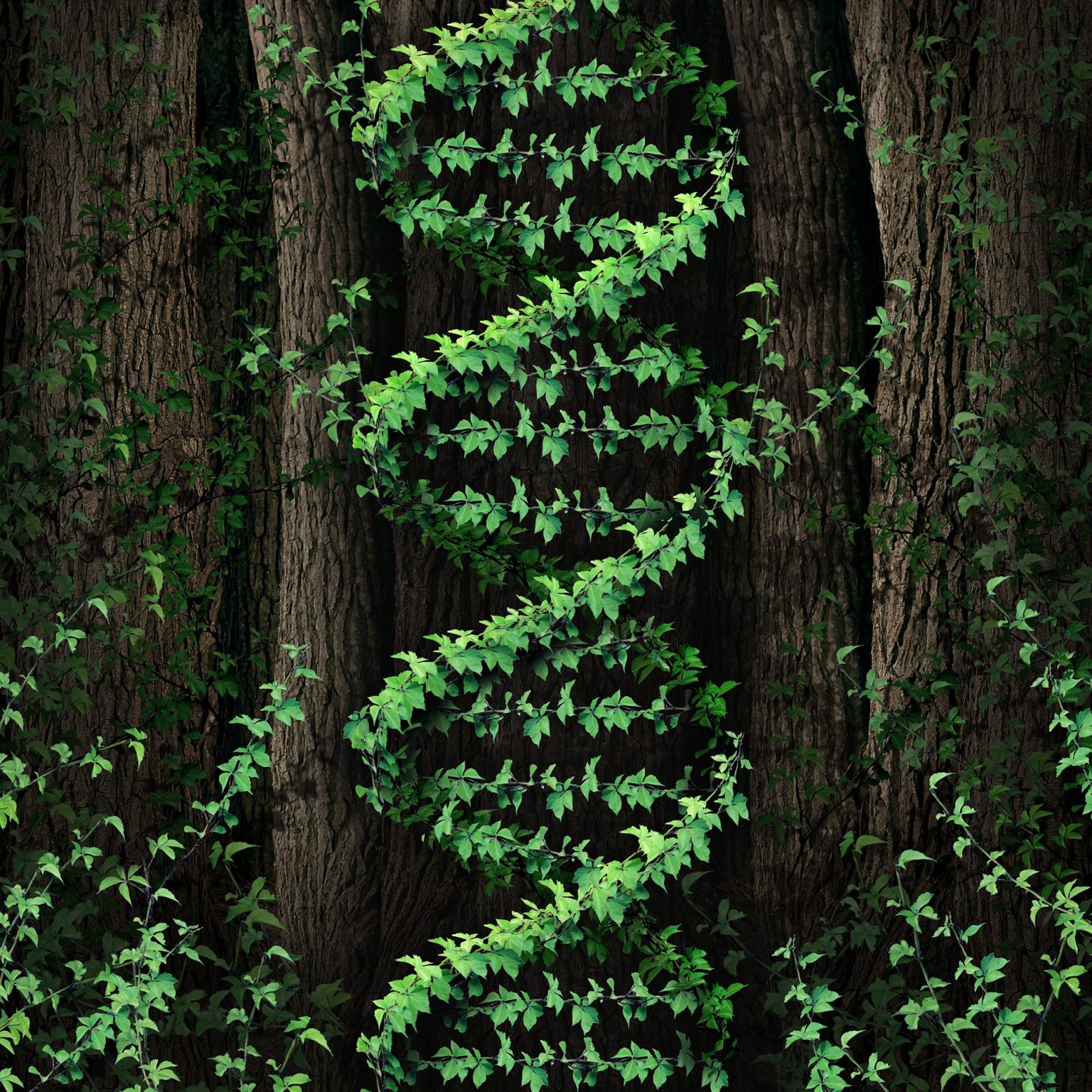 DNA Shows Plants Are Extraordinary Chemists – Making Love and War