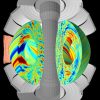 Science Made Simple: What Is Fusion Energy Science?