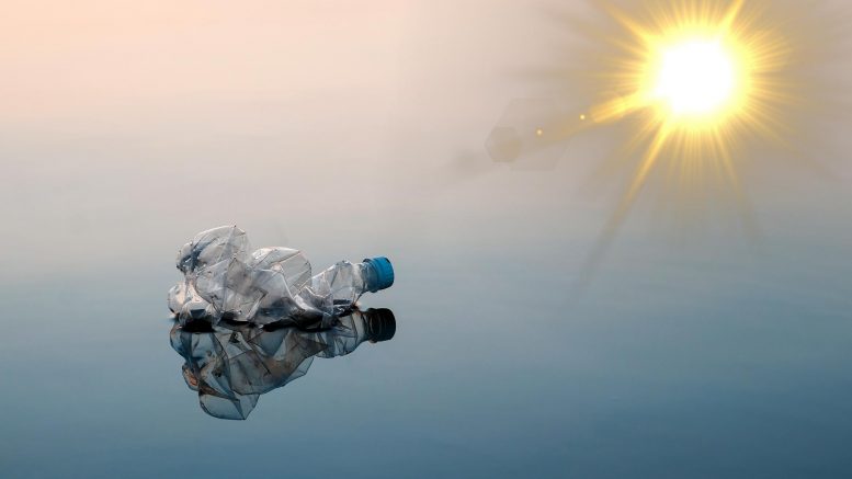 Scientists Thought It Took Thousands of Years for Plastic to Decompose ...
