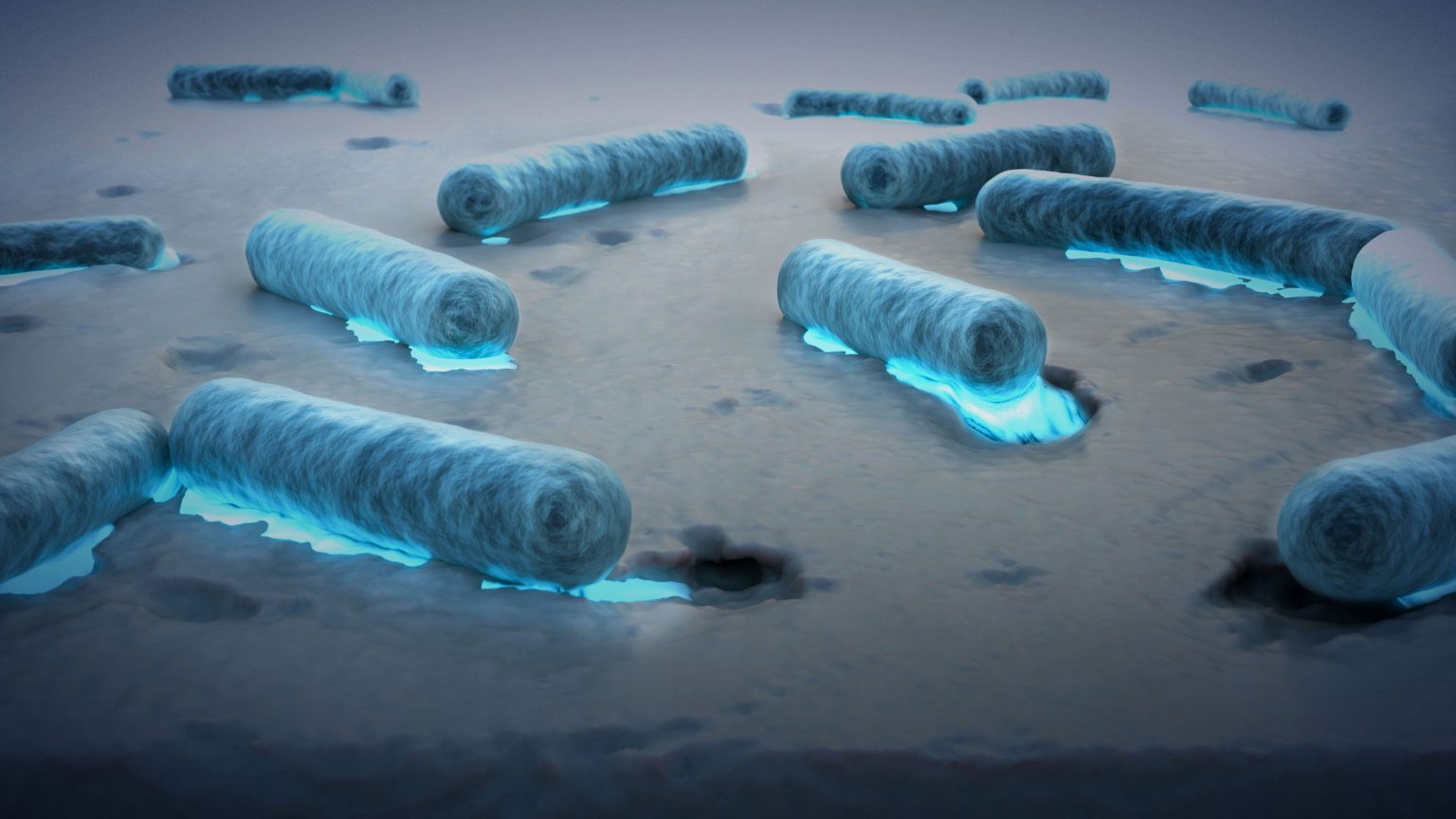 Scientists Discover Ocean Bacteria That Feast on Plastic