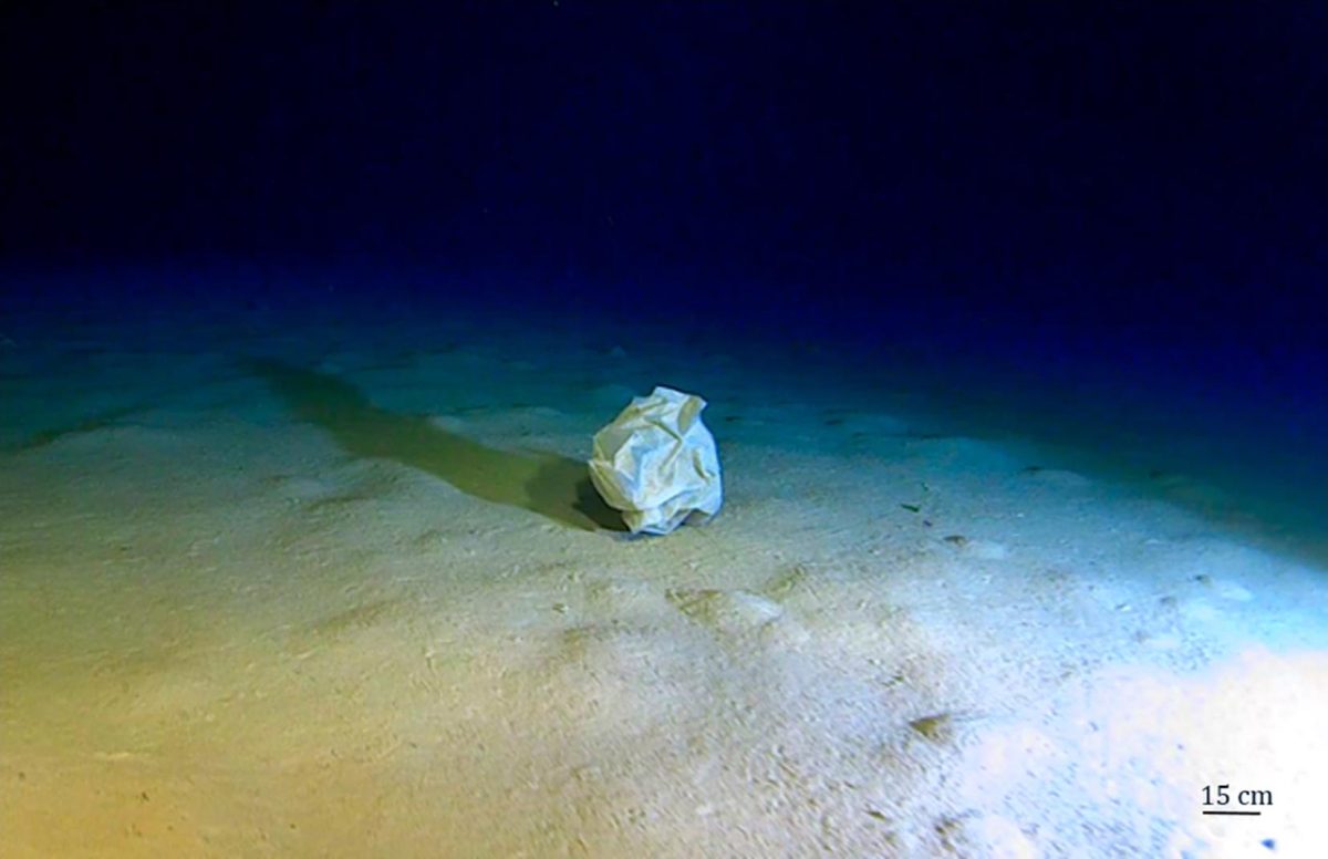 Alarming Discovery: Human Trash Found at Deepest Point of the ...