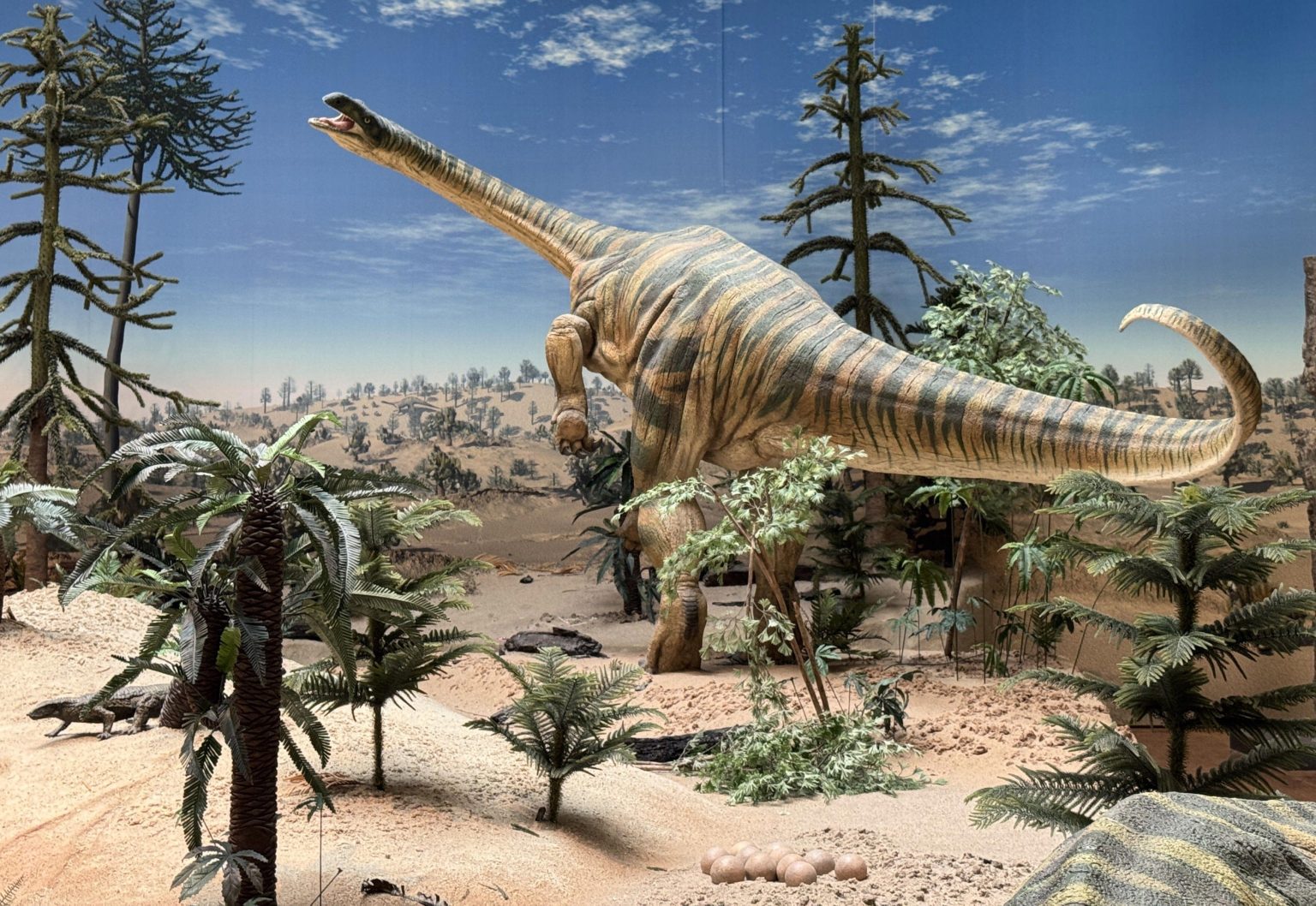 252-Million-Year-Old Fossils Reveal Secrets of Triassic Life