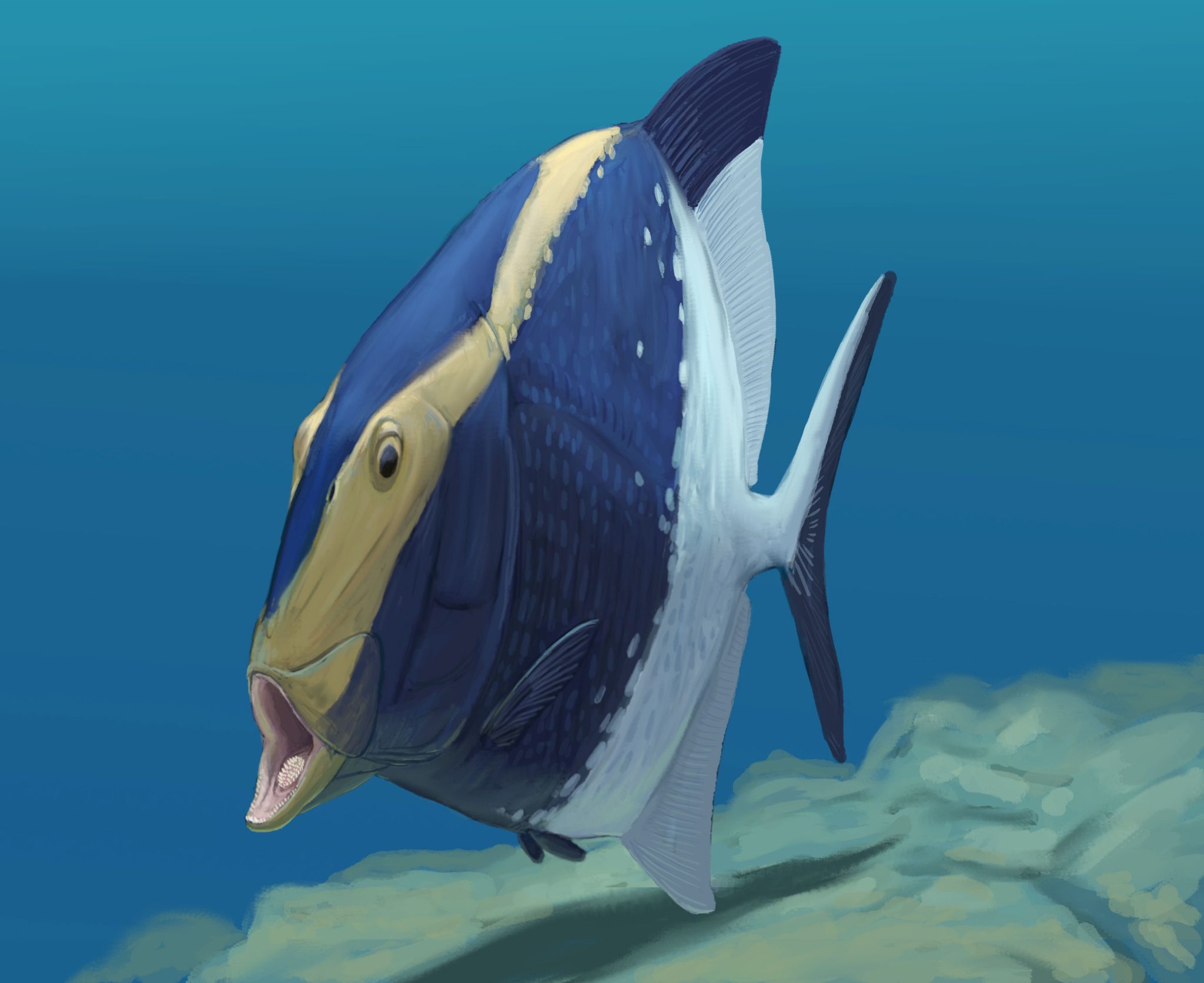 Fossil From 310 Million Years Ago Rewrites the Story of Fish Evolution