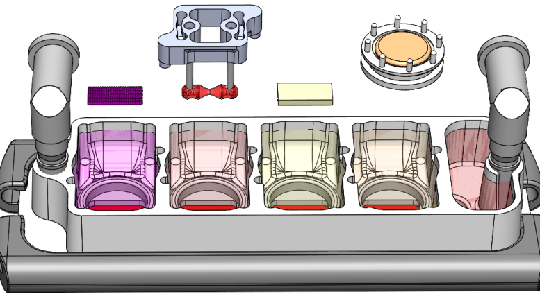 Amazing Microfluidic Chip Emulates Living Organs and Tissues