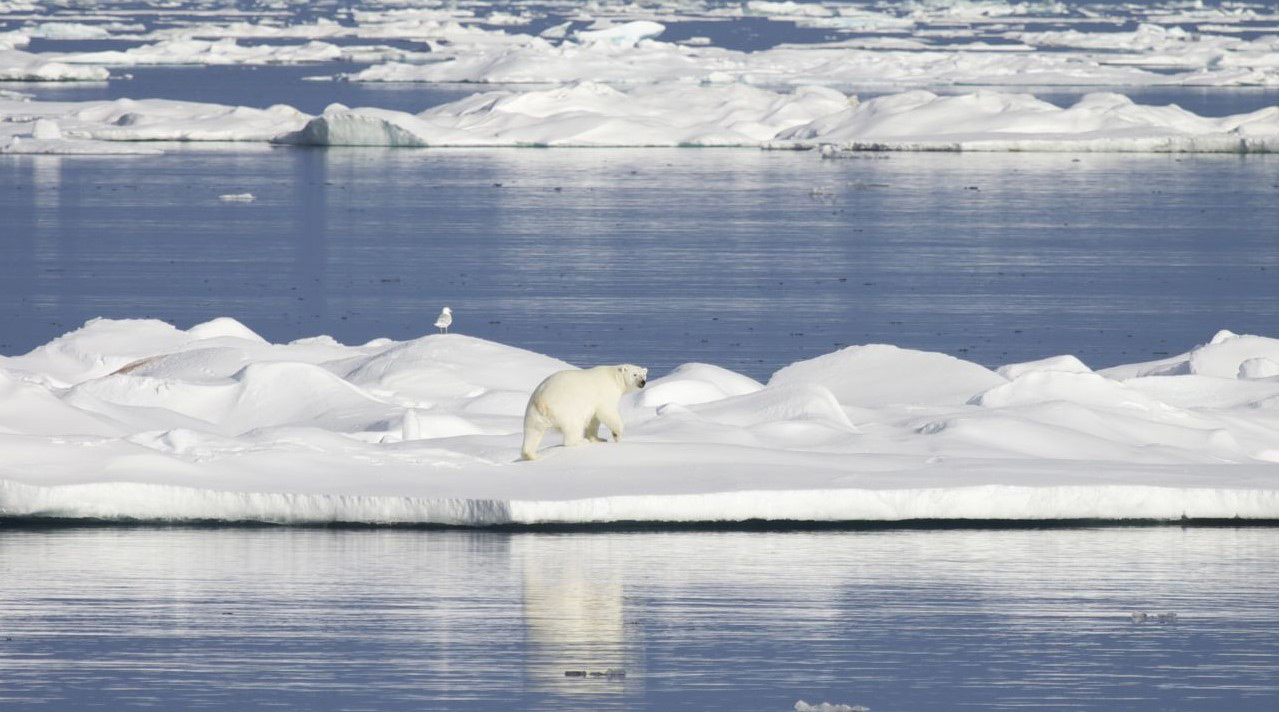 Scientists Uncover Flaw in Climate Models: Clouds Are Supercharging ...