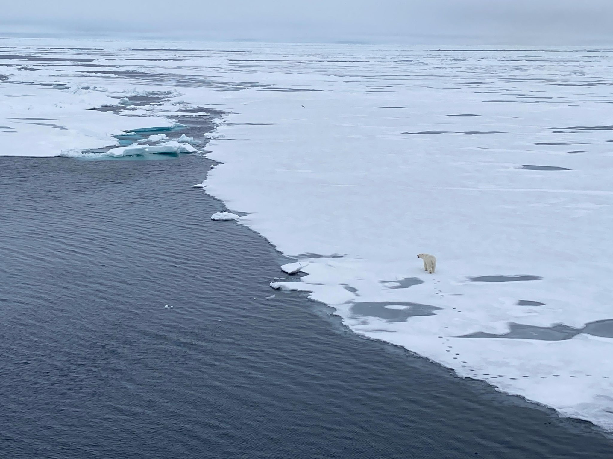 Ancient Mud Just Shattered a 750,000-Year-Old Ice Myth