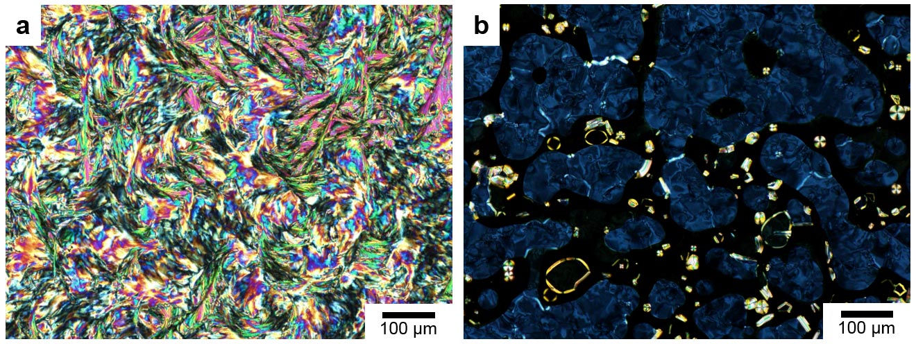 Researchers Use Light to Control High-Speed Chemical Reactions in a New Way