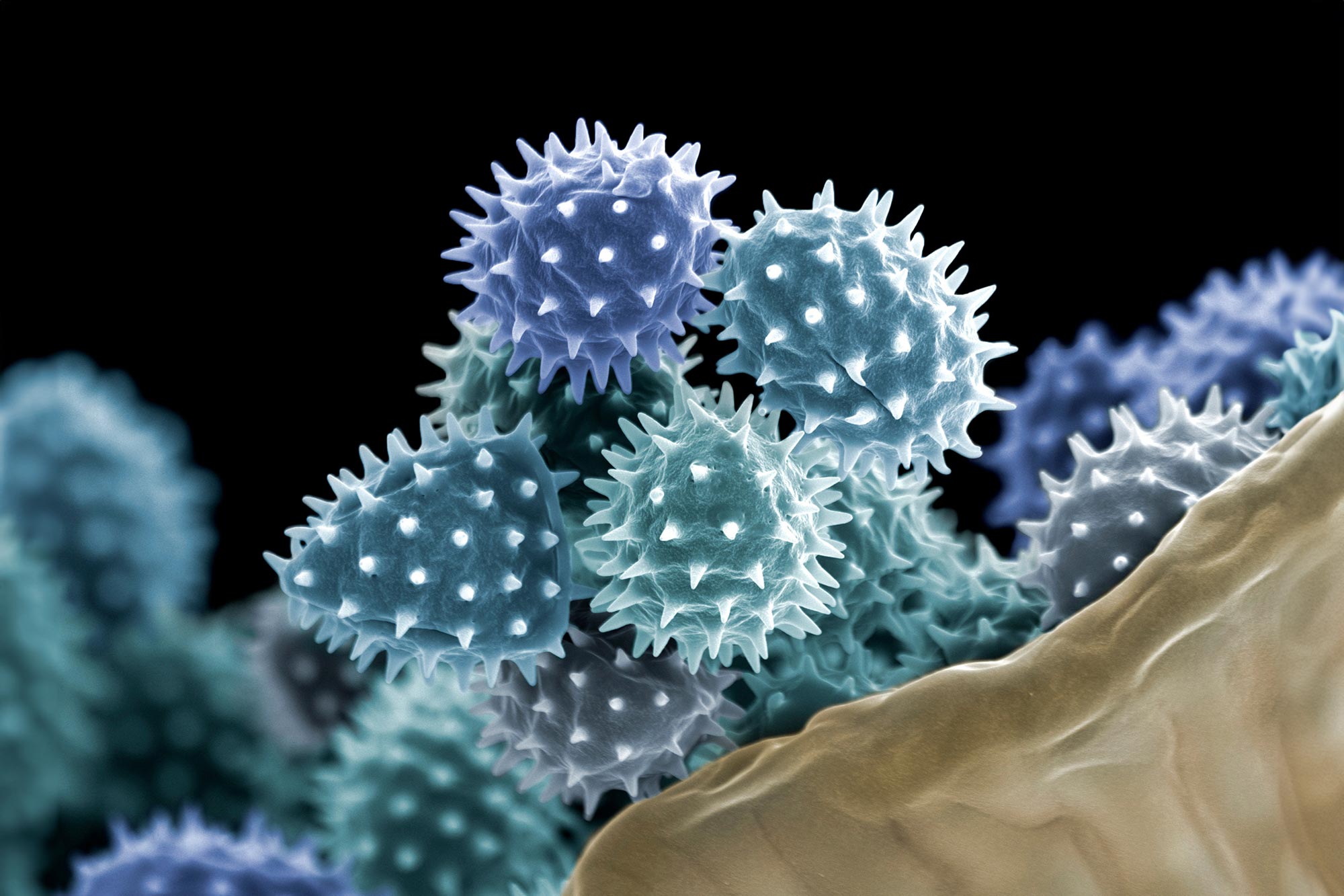 Tracing Footprints: Humans Got to America 7,000 Years Earlier Than Thought