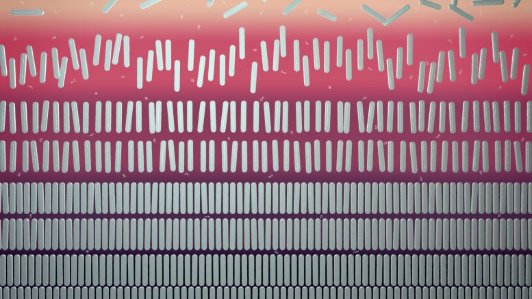 Simulations Reveal Fundamental Insights on Janus Particles