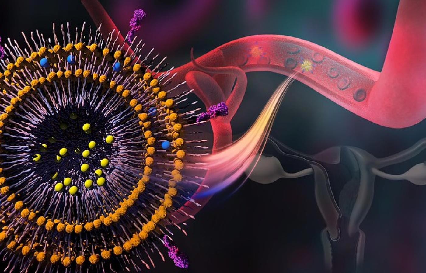 Nanomedicine Drug Delivery System Offers New Hope for Rare Pregnancy ...