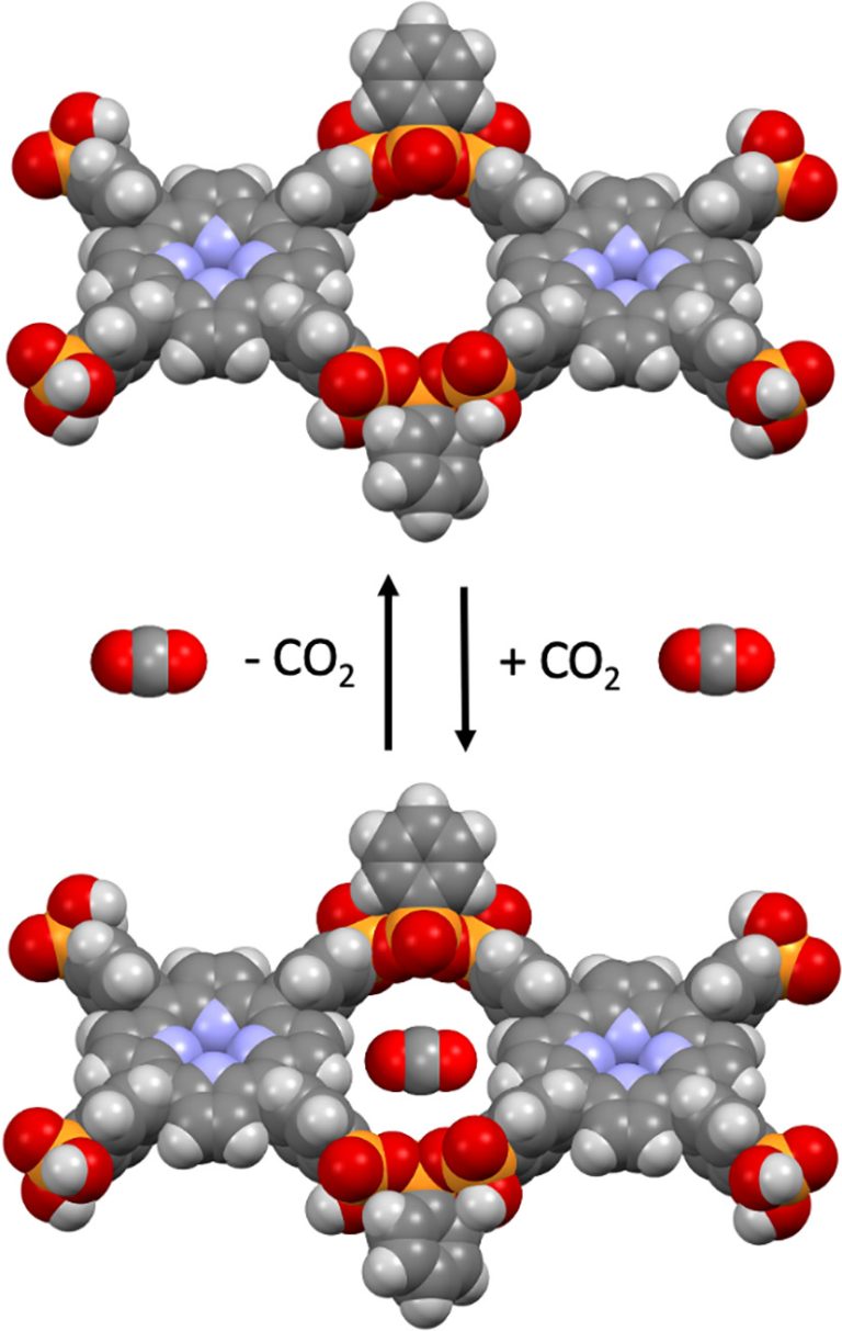 Carbon Capture Just Got Easier: Researchers Synthesize Stable Organic ...