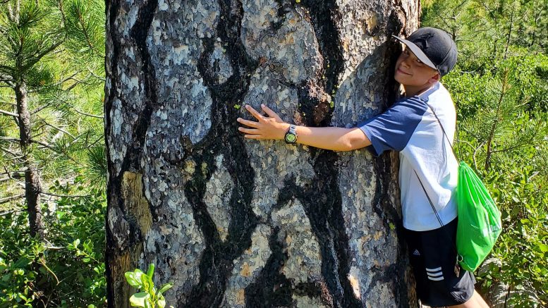 What in the World Are NASA Moon Trees?