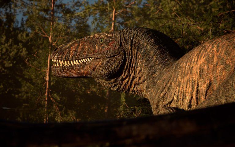 Ancient Predators, Modern Mysteries: Mapping the Crocodile’s ...