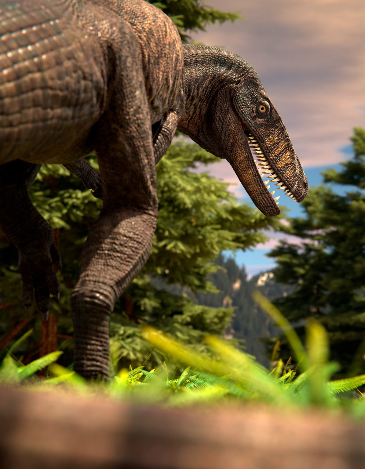 Ancient Predators, Modern Mysteries: Mapping the Crocodile’s ...