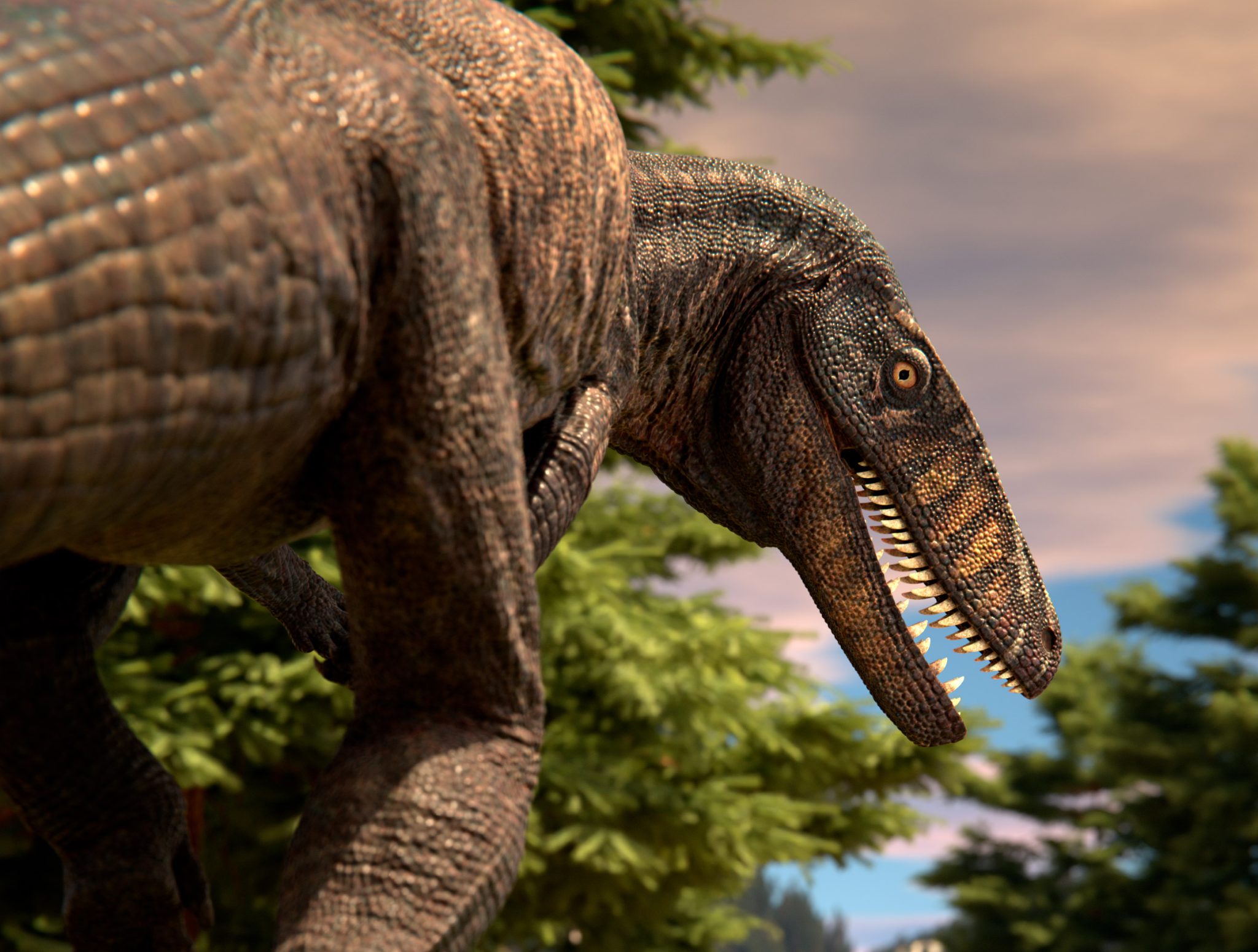 Ancient Predators, Modern Mysteries: Mapping the Crocodile’s Evolutionary Path