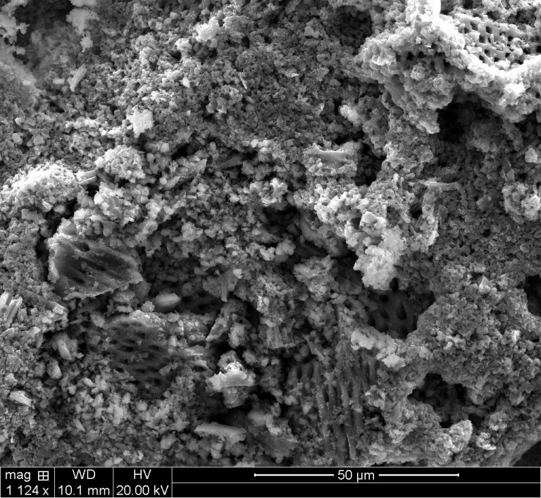 Silicon-Based Anode Shows Significant Improvement Over Current Graphite ...