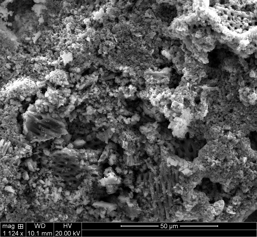 Silicon-Based Anode Shows Significant Improvement Over Current Graphite ...